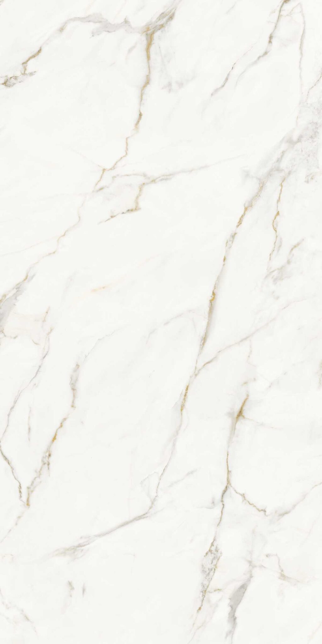 Calacatta Oro – MightySlab